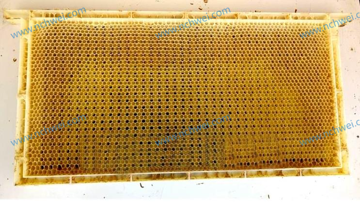 How To Use Queen Rearing Kit - Wii's Beekeeping