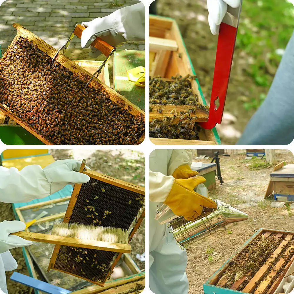 What tools are needed for beekeeping? - Wii's Beekeeping